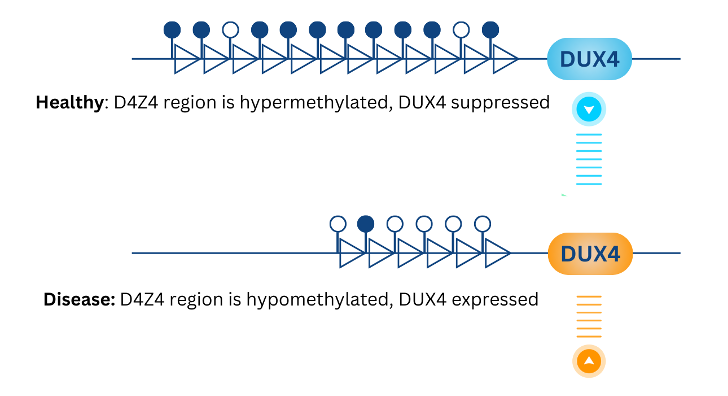 EPI-321 - Epicrispr Biotechnologies